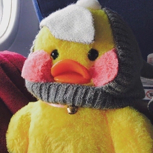 抖音-深夜煮面人 