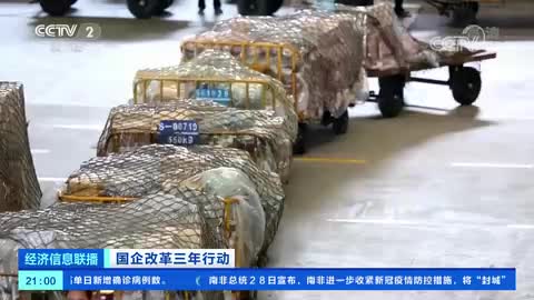 国企改革三年行动 三大民航国企承担航空货运主要运力