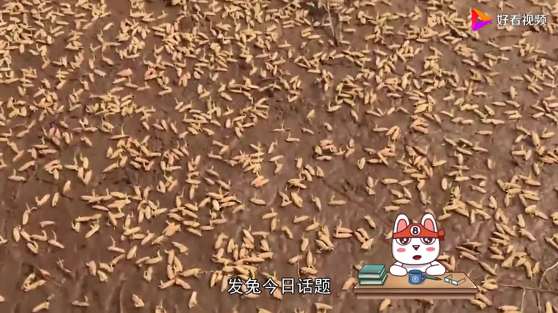 古代水稻没有普及的时候,人们吃的都是什么“饭”?