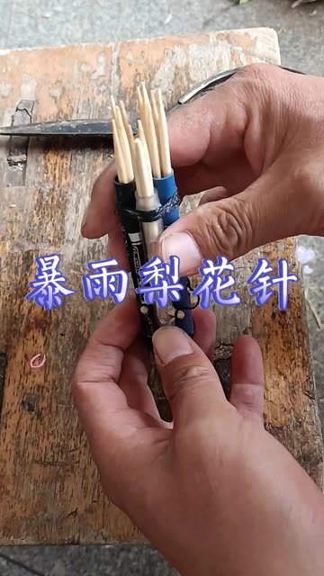分享手工制作暴雨梨花针