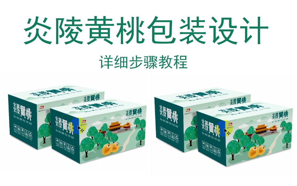 【包装设计基础】PS包装设计入门教程|PS插画包装盒设计步骤|AI包装...