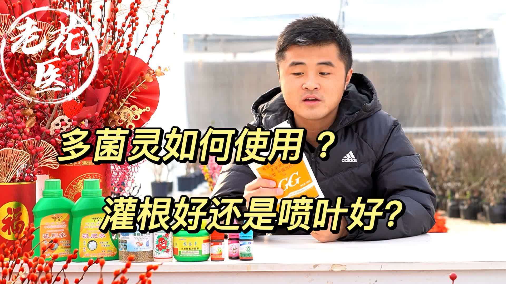 多菌灵如何正确使用?是灌根...