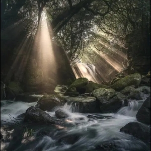 照进黑暗的光 