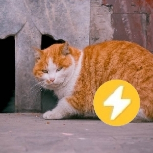 花为什么会落呢 