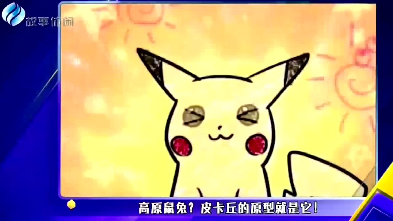 高原鼠兔?皮卡丘的原型就是它!