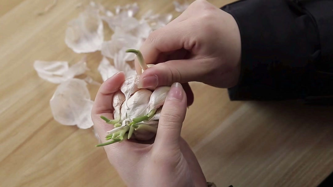 这样种大蒜不用土,天天都能吃到新鲜的蒜苗,邻居见了纷纷学起来