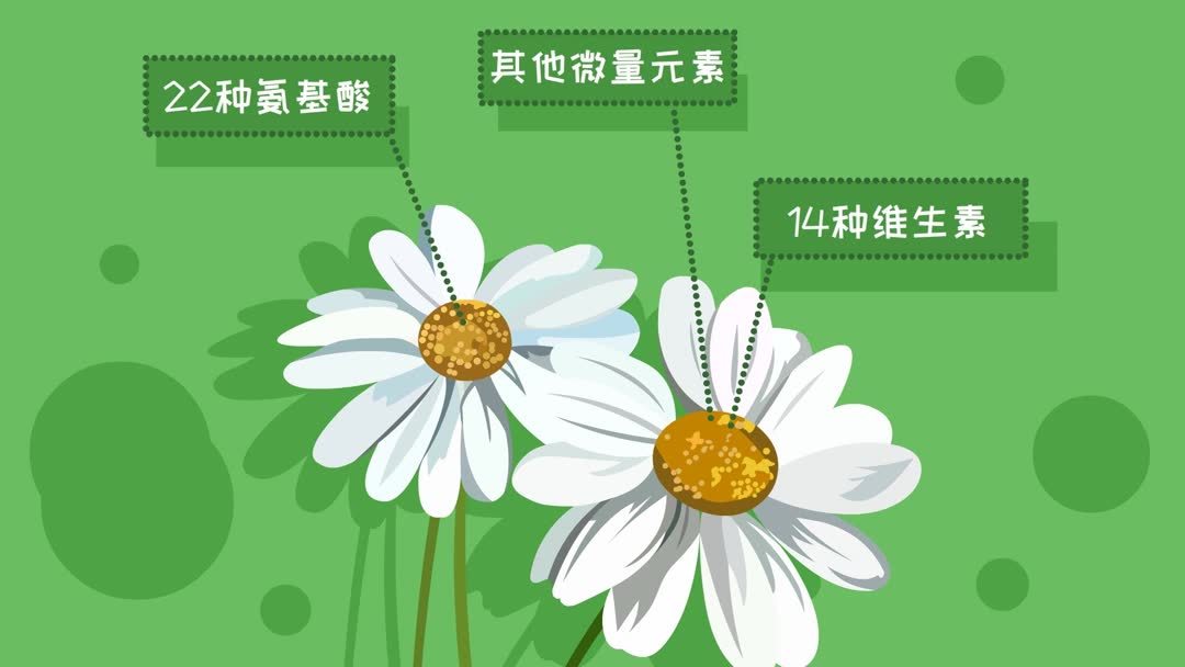 花不仅好看,有的花还很好吃呢,原来花也有这么高的营养价值