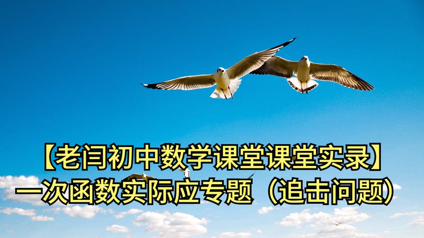 【老闫初中数学课堂课堂实录】一次函数实际应专题(追击问题1)
