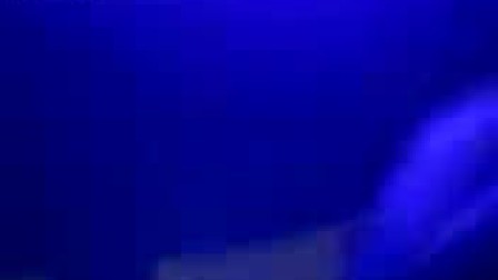 2010.7.1上海世博沙特馆1