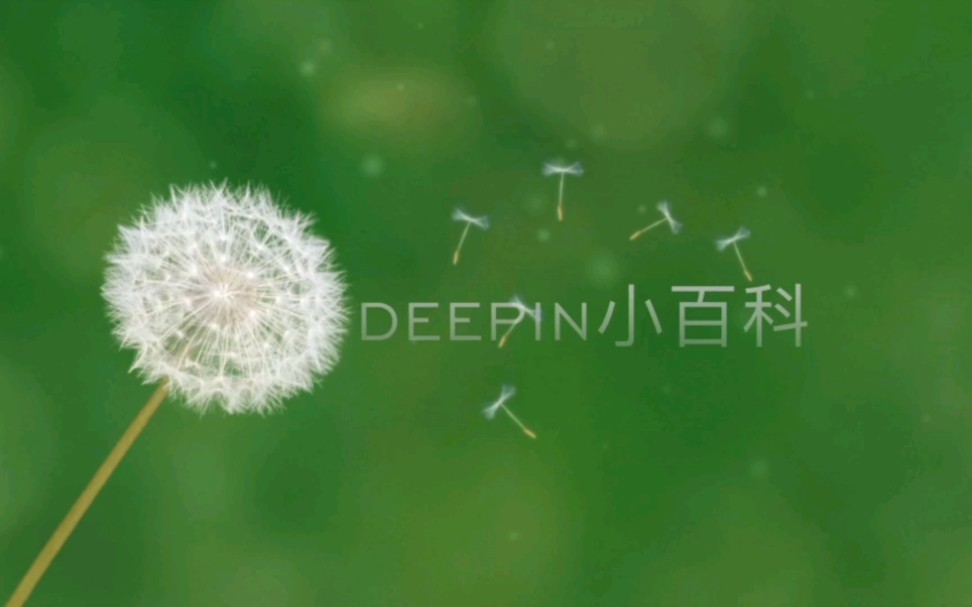 uos安装激活后获取root权限更新系统