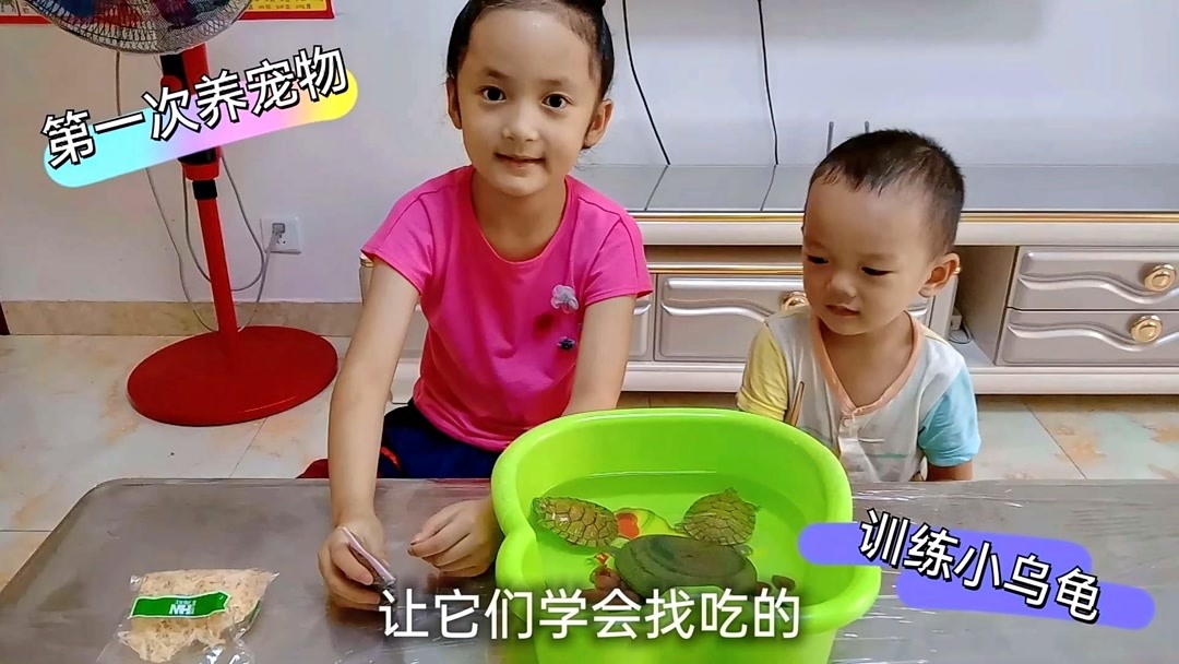 姐弟俩养的宠物活泼可爱,熙熙细心照顾小乌龟,训练它们干啥呢?