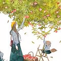 画布YY 