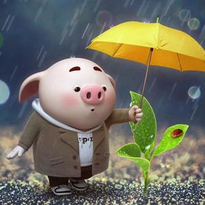 猪小屁影视名流 