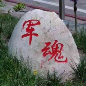 戈壁红柳1p9v 
