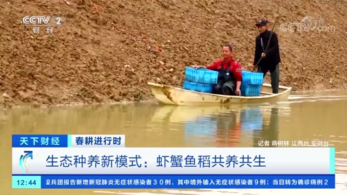 [天下财经]春耕进行时 生态种养新模式:虾蟹鱼稻共养共生