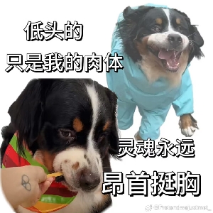 我好痛到底该叫什么 