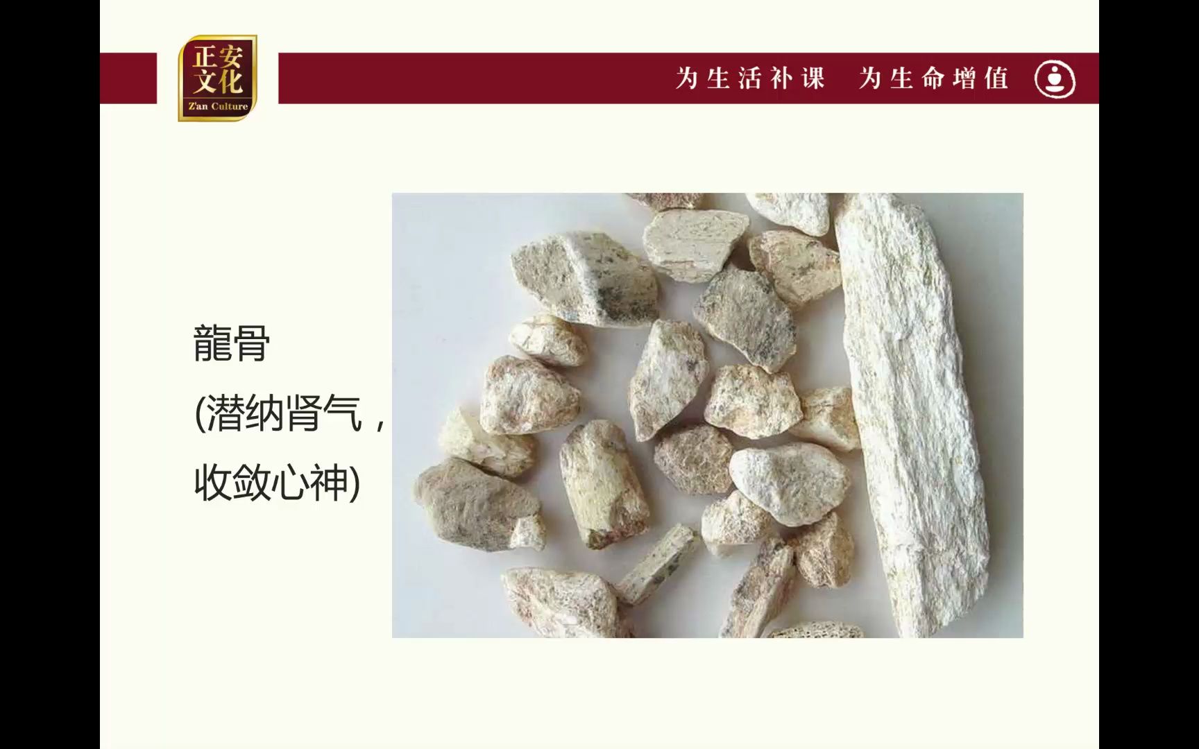 倪海厦老师弟子施合一经方药证学 第十四章 收敛安神药 05 龙骨