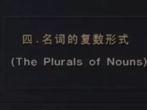 初中英语语法 04 名词的复数形式