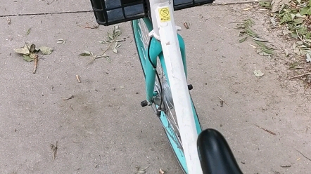 弯把变速青桔单车你见过吗?