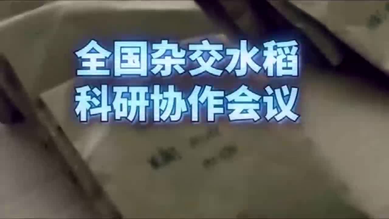 杂交水稻究竟有多厉害?袁隆平的一生到底有多传奇? (2)