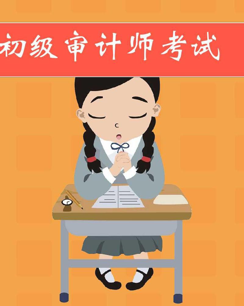 初级审计师考试:审计专业相关综合知识和审计理论与实务