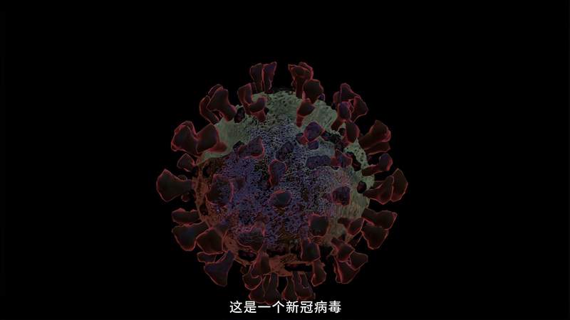 新冠病毒:从原始毒株到奥密克戎