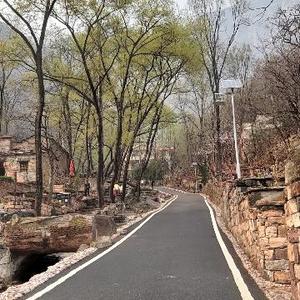 陪我到可可西里看海 