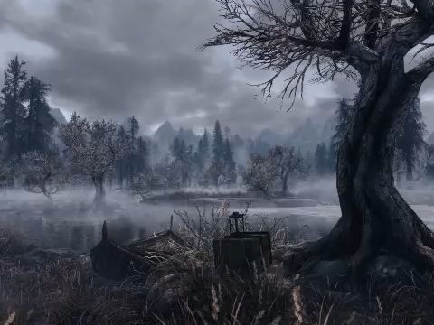 【动态视频素材】E278 2K高清画质梦幻迷失森林老树古树魔幻表演...