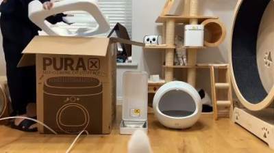 斥资20万打造猫房第5天,今天又花了6W多,全方面产品都是自动的
