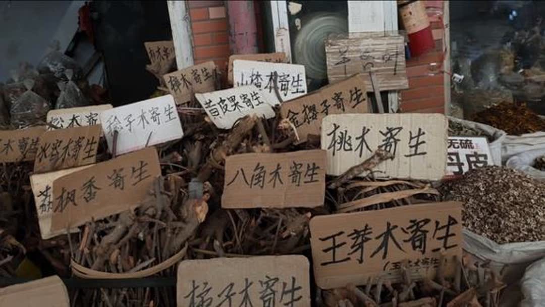 找到一家专门经营寄生类药材的店,品种太齐全了,有你想要的吗