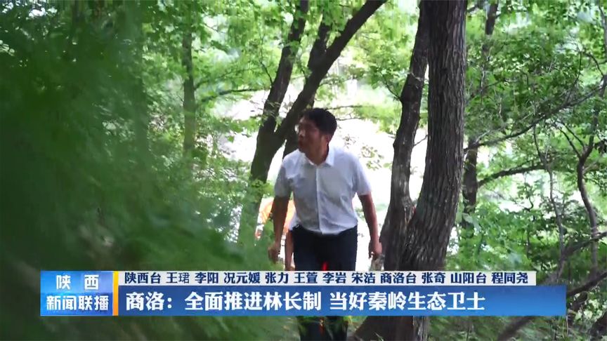 商洛:全面推进林长制 当好秦岭生态卫士