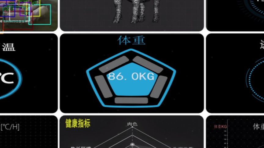 AI养猪(农业物联网)