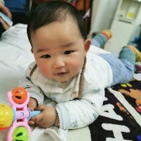 小番茄ol 