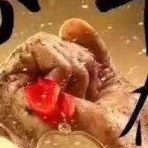 奇晨4 
