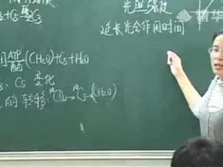 【精华学校】第5讲 细胞的代谢(下)2