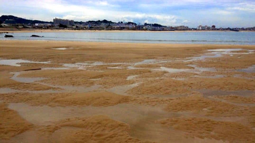 为什么大海会涨潮退潮?退潮以后海水去哪了?看完长知识了