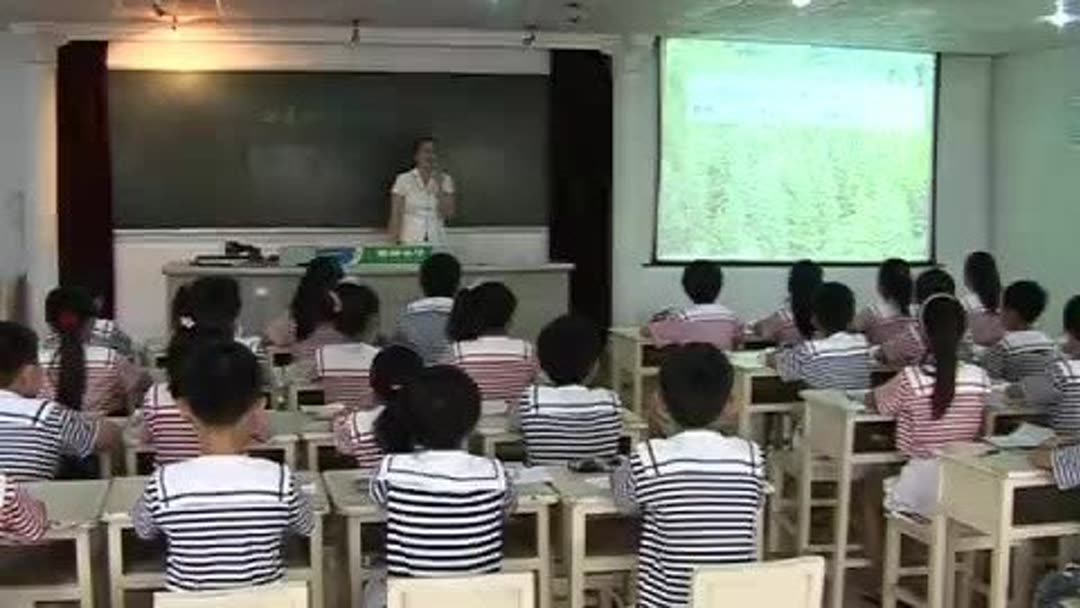 《美丽的小兴安岭》观摩课(人教版三上,漯河小学:彭培华)