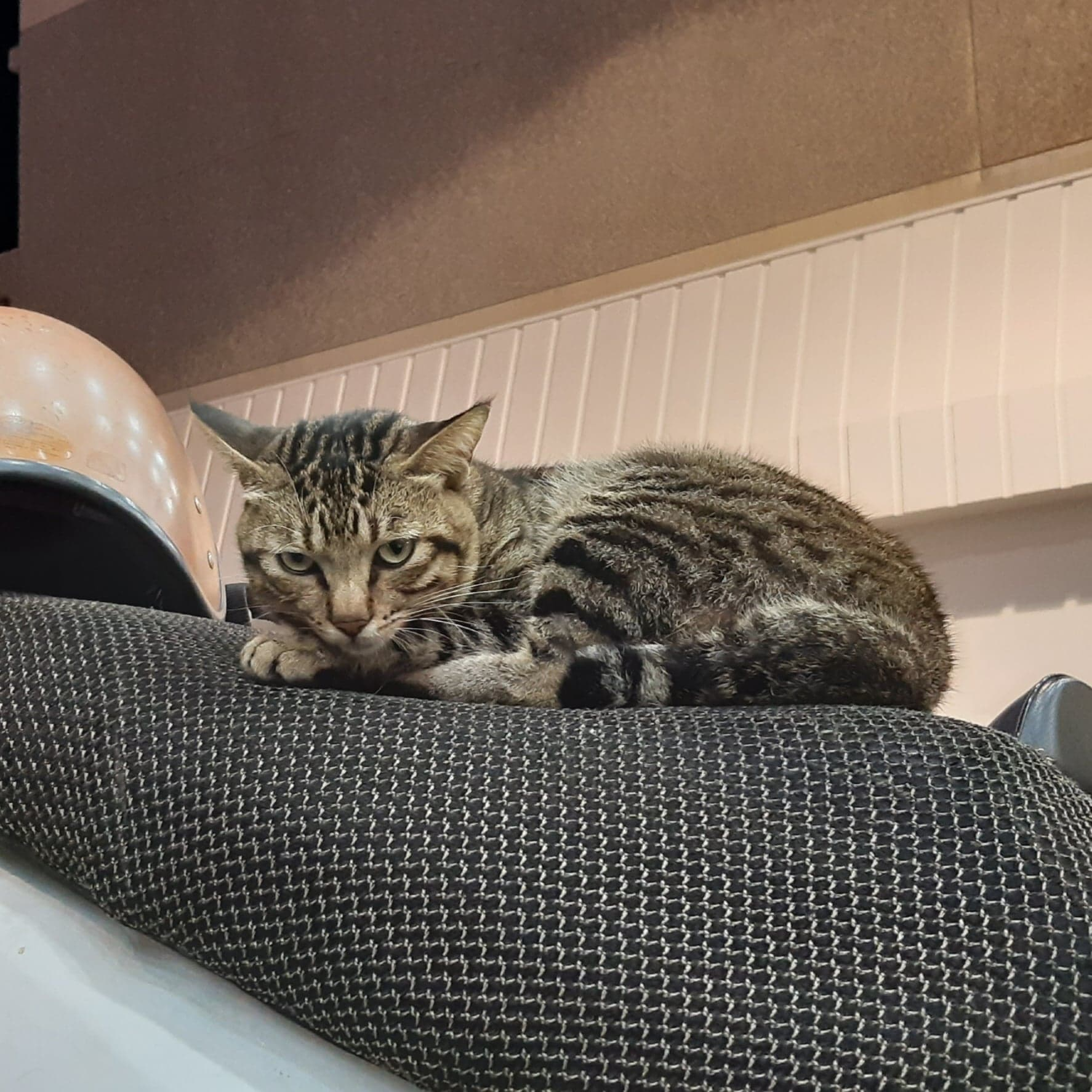 帐号没注销_5522537396 