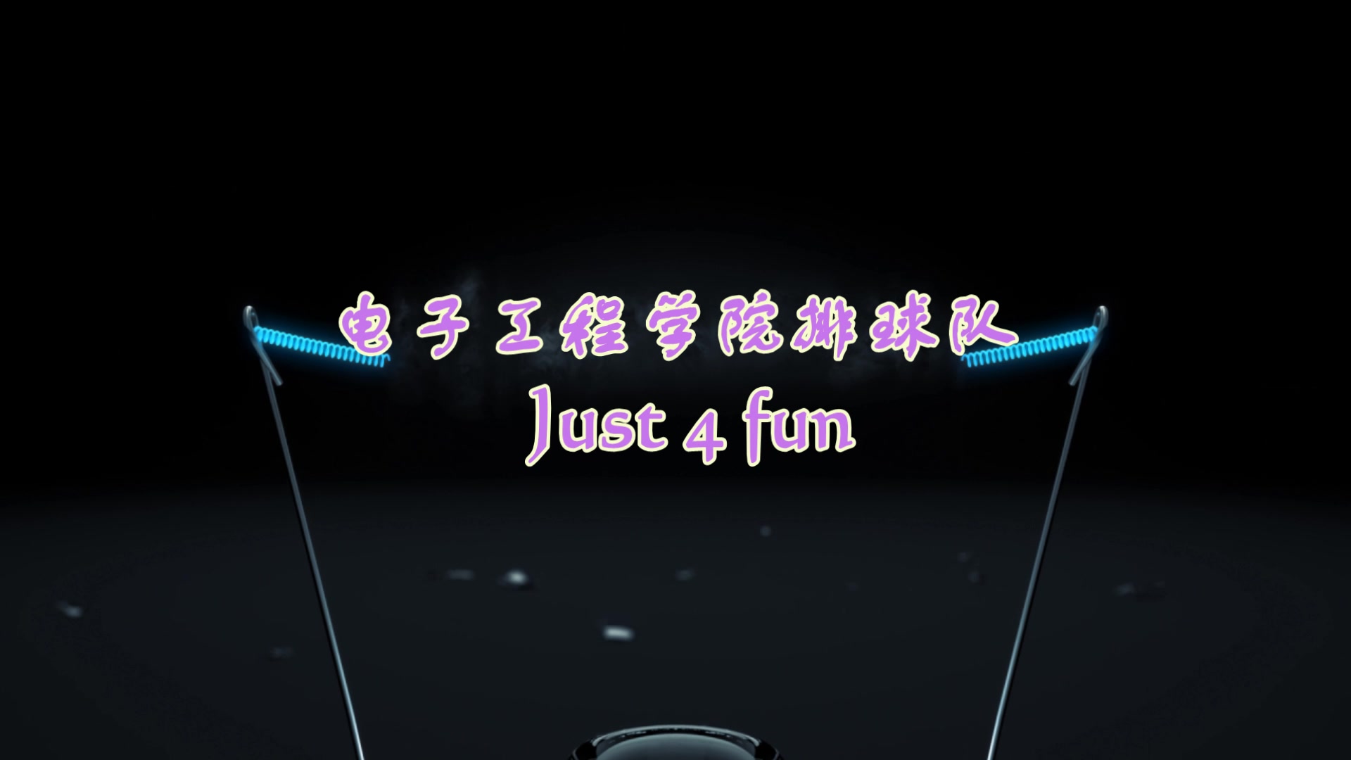 广西师大2016桃李杯气排球比赛,电子夺冠全记录