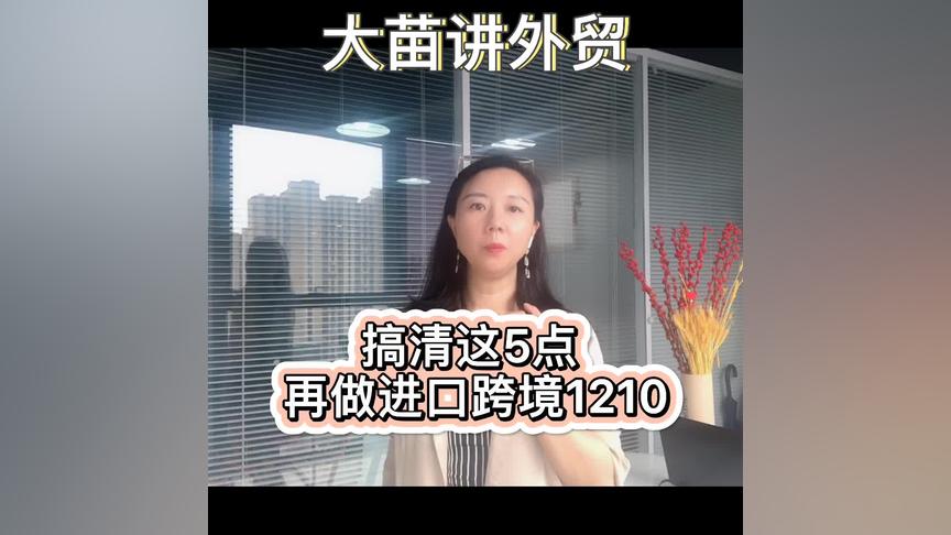 【大苗讲外贸】搞清这5点 再做进口跨境1210#进口 #进口跨境电商