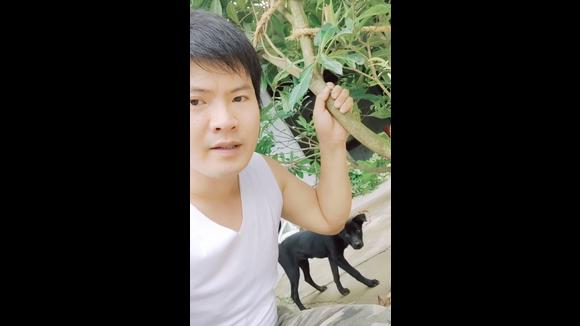 杨梅苗木种植管理