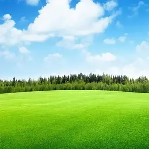 狂热音乐 