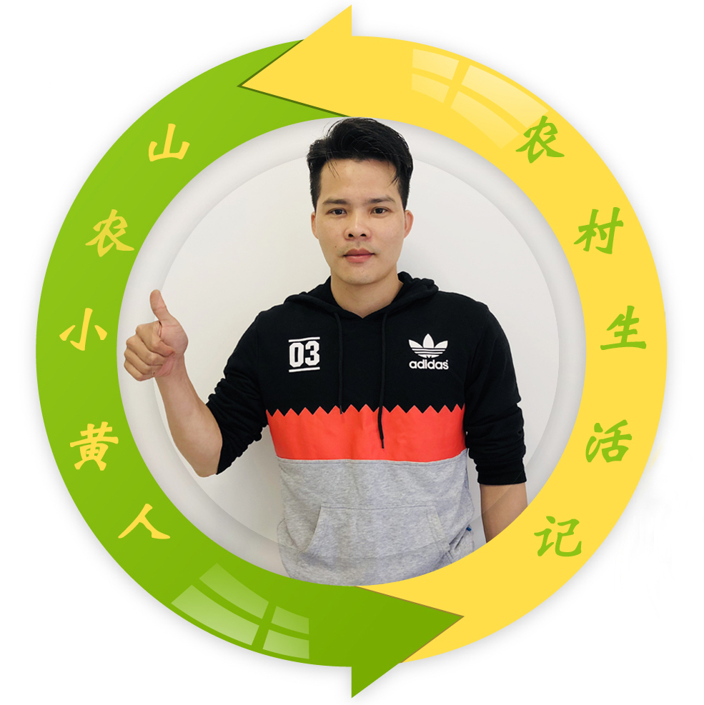 山农小黄人 