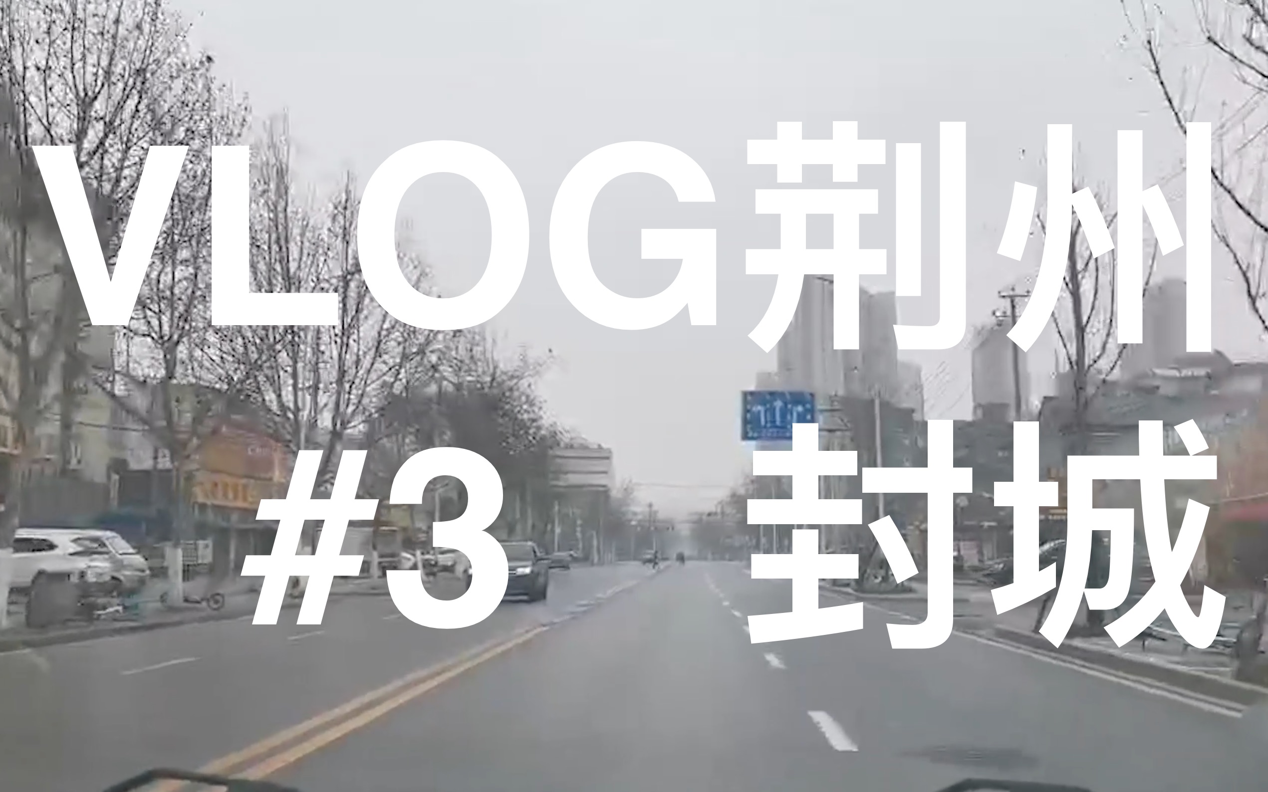 ...| 真实记录荆州封城之后的一次出门采购 | 超市物资充足 | 酒精消毒水...