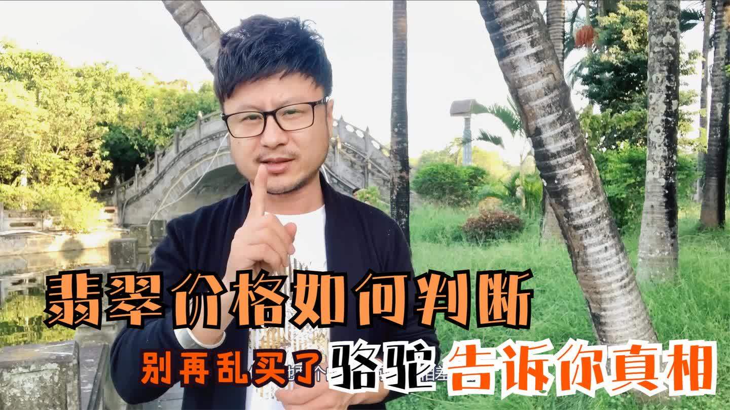 翡翠决定价格的因素有哪些?看上如此相似,为什么价值相差很大?