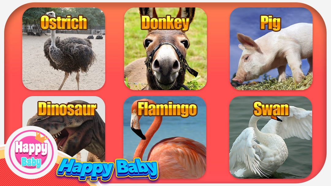 《免费学英语》0-3岁宝宝启蒙互动教学英语,让孩子爱上学英语。