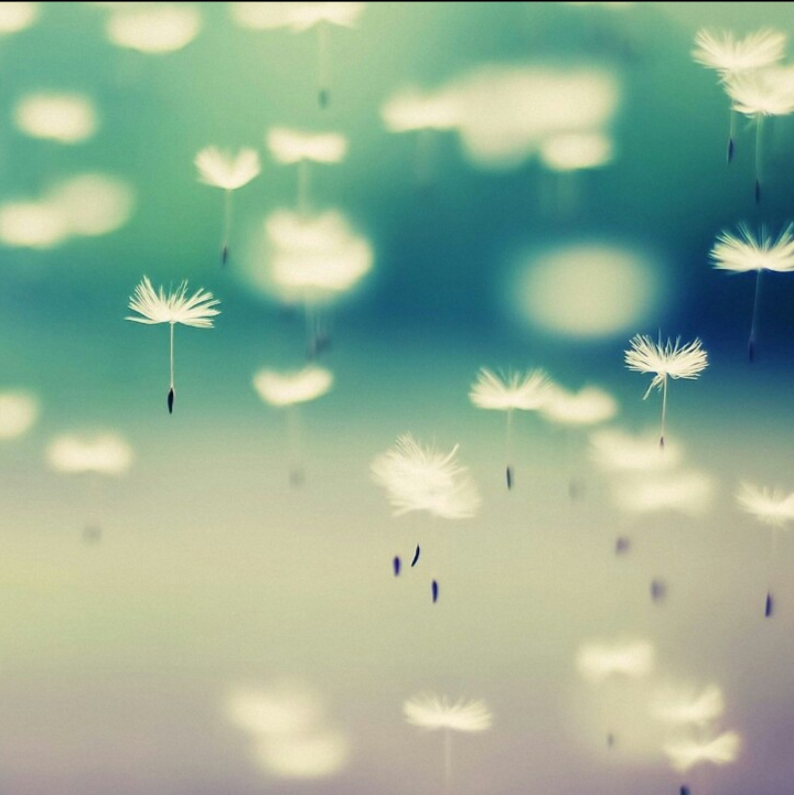 氤氲不是无双吖 