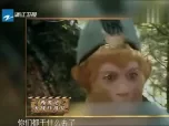 王牌对王牌:沈腾表演西游记经典片段,欧阳娜娜听得一脸懵!