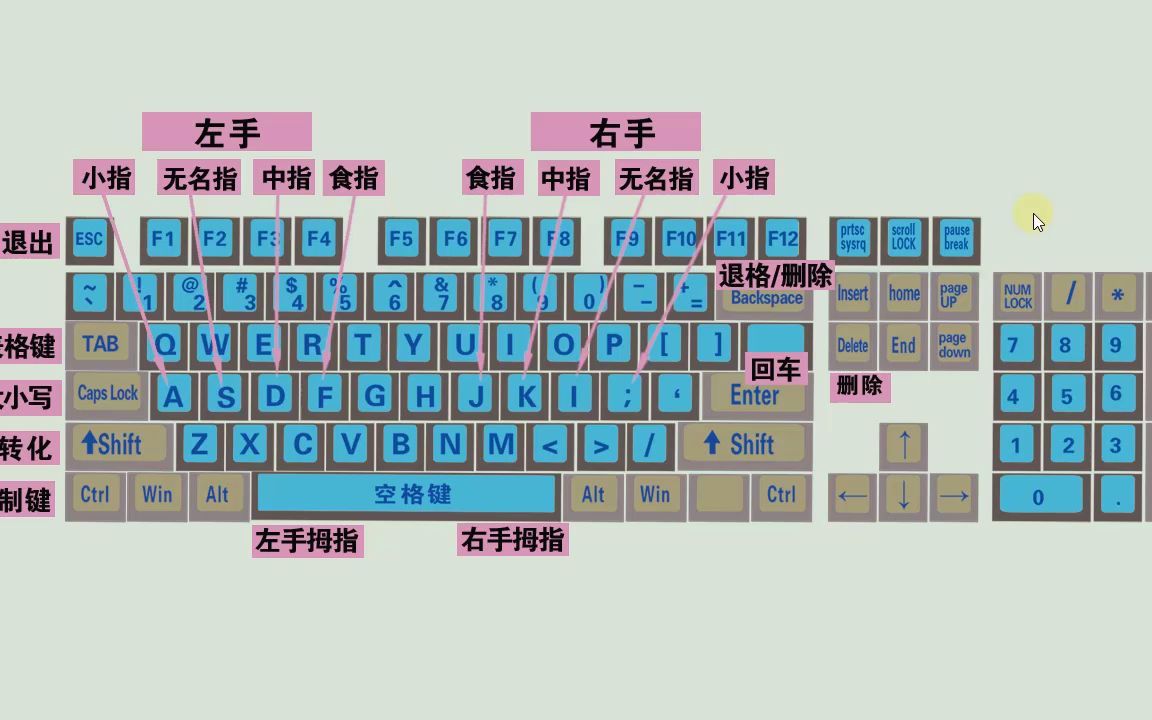 电脑初学者认识键盘和键盘正确打字方法