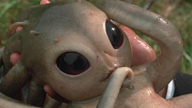 小警察成功加入MIB,第一个任务竟是给外星人接生,美国科幻电影